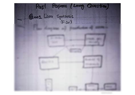 Solution Urea Synthesis Studypool