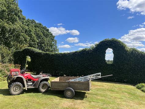Hedge Cutting In Harrogate North Yorkshire Spruce Gardens