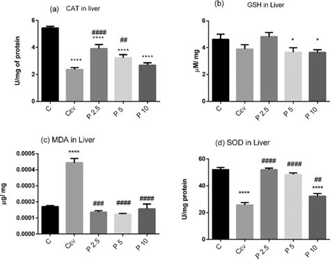 Effect Of Polystyrene Microplastic Exposure On Oxidative Stress Download Scientific Diagram