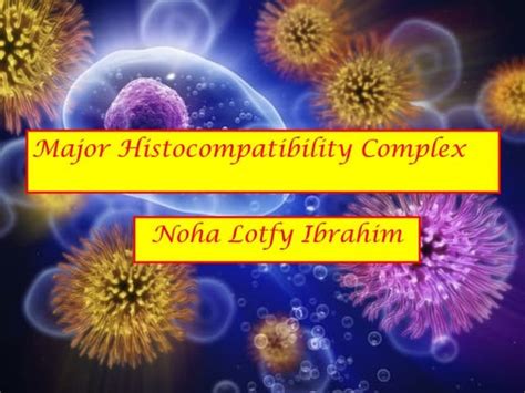 Major Histocompatibility Complex Ppt
