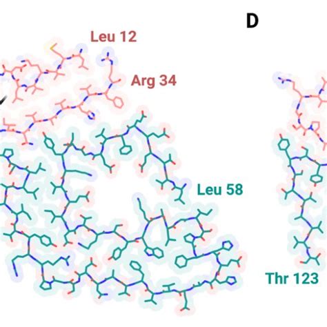 Cryo Em Structures Of Cardiac Fibrils From Attrp24s And Attrt60a