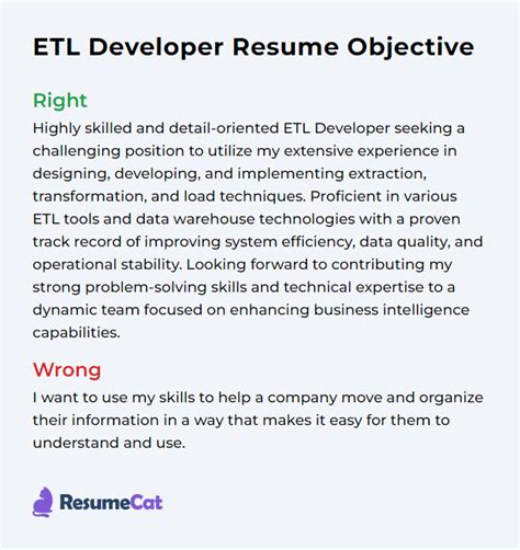 Top 16 Etl Developer Resume Objective Examples Resumecat