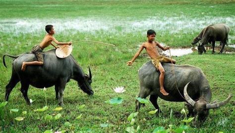 Removing And Replacing Characters In Strings In X It Blog