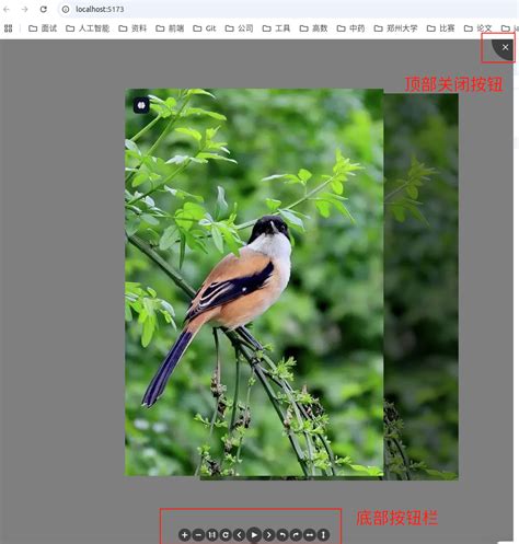 Vue3 Vite 使用 V Viewer和viewerjs 实现图片预览，并能对预览图片进行旋转、缩放、播放等vue3 V Viewer