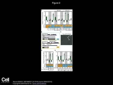 Volume 61 Issue 5 Pages March 2009 Ppt Download