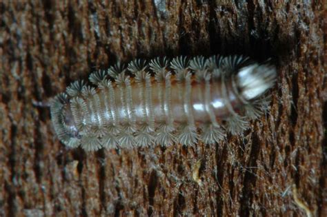 Nepojmenovaný Dokument