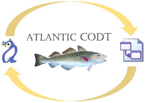 About Codt History And Contact Info Configurable Ontology To Data