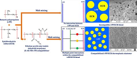 Plastic Vs Elastomer At John Triche Blog