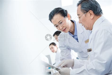 医学专家做研究分析高清图片下载 正版图片507654234 摄图网