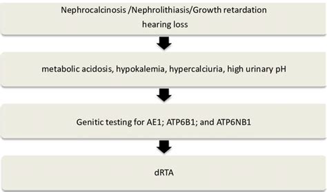 3 Distal Renal Tubular Acidosis Drta Diagnostic Algorithm