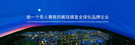 东岳氟硅科技集团有限公司