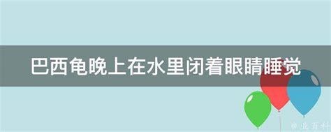 巴西龟晚上在水里闭着眼睛睡觉 业百科
