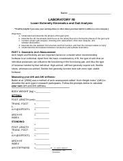 Lower Extremity Kinematics And Gait Analysis In Gait Cycle Course Hero