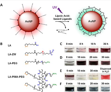 figure 1 from rapid photoligation of gold nanocolloids with lipoic acid