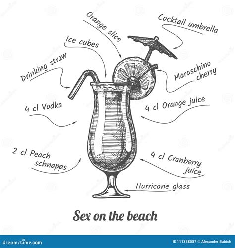 Cocktail Sex On The Beach Stock Vector Illustration Of Alcohol 111338087