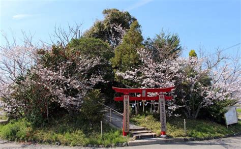 Kaki Hiking Elok Cuba Cabaran Mendaki Gunung Benten Dijamin Tak Sesat