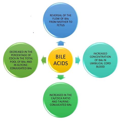 Bile Acid Lab Values At Linda Redmon Blog