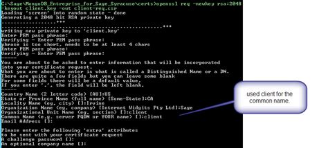 How To Secure Mongodb Connection With Your Own Certificate Sage X3