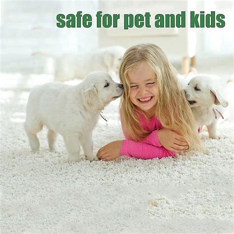 16 Pack Cedar Blocks For Closet Red Cedar Blocks For Aromatic Cedar Blocks For Closet And