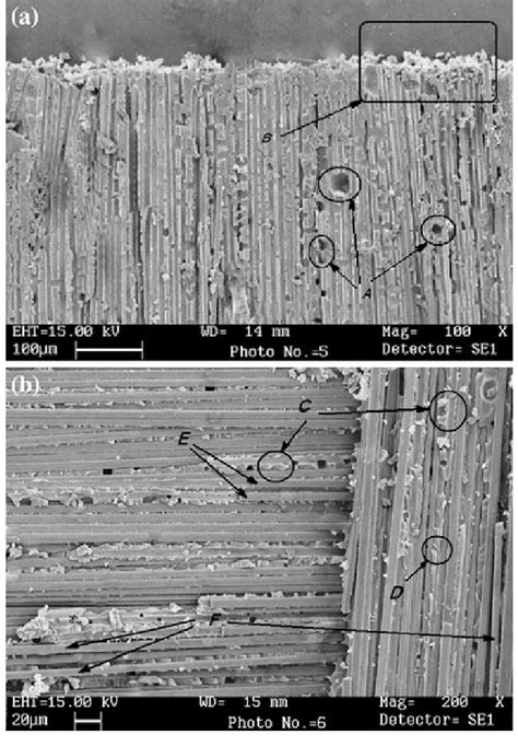 A Initiation Fracture Surface B Propagation Fracture Surface Of Mixed