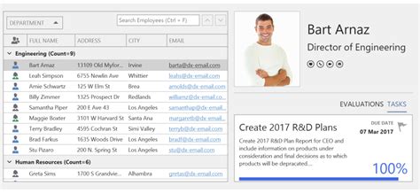 Skins Winforms Controls Devexpress Documentation