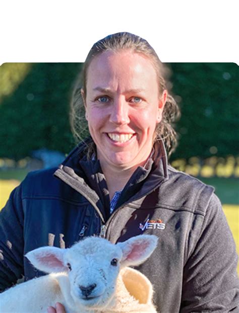 Meet The Team Totally Vets