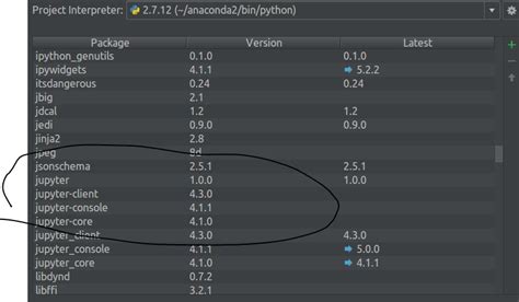 Problem About Jupyter Notebook Ides Support Intellij Platform