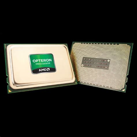 AMD S Zen Based Opteron Processors To Feature 32 Cores In MCM Package 8 Channel DDR4 Memory
