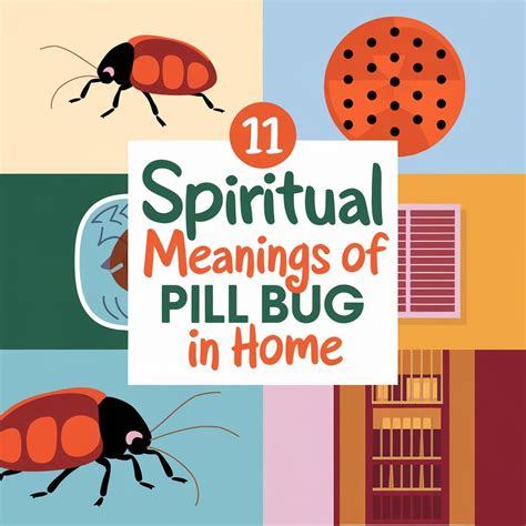 11 Spiritual Meanings Of Pill Bug In Home A Comprehensive Guide