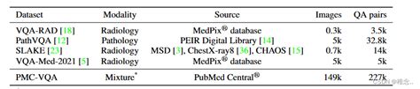 医学多模态模型总结(一)pmc Vqa Csdn博客 医学多模态模型总结(一)pmc Vqa Csdn博客