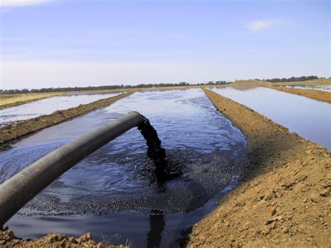 Bergmeier Environmental Restore Increase Improve