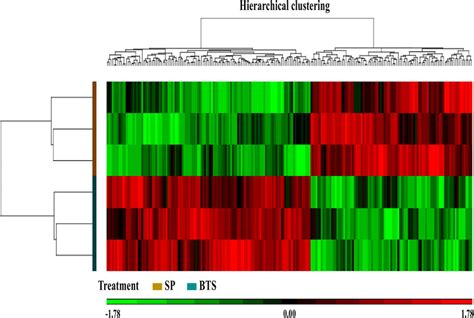 Hierarchical Clustering Analysis Comparing Differentially Expressed Download Scientific Diagram