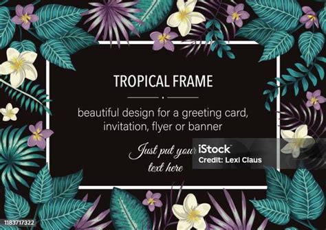 검은 배경에 열대 흰색과 보라색 잎과 꽃 벡터 프레임 템플릿입니다 텍스트에 대한 장소가있는 가로 레이아웃 카드 초대 결혼식 파티 프로모션 이벤트를위한 봄 또는 여름 디자인