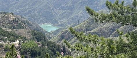 面试官：mysql 使用 Group By 语句时发现执行很慢，可能是什么原因？age分组sql