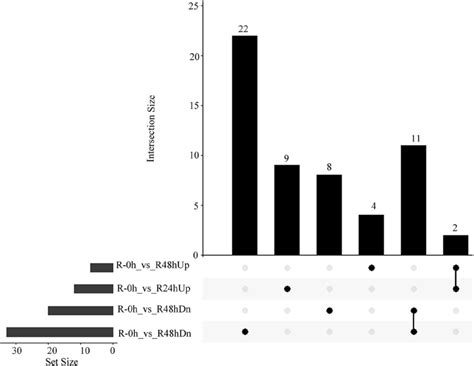 Upset Plot Showing Overlap Of Upregulated And Downregulated Metabolites Download Scientific