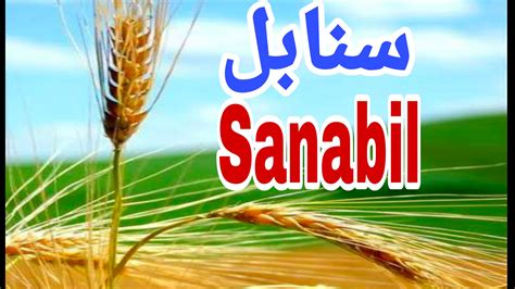 سنابل الاخبارية Sanabil News