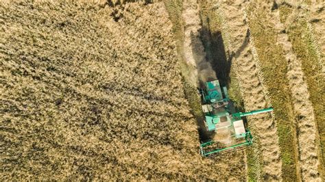 Harvester Machine Working In Field Aerial View From Above Combine Harvester Agriculture Machine