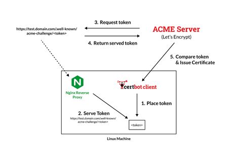 Understanding Lets Encrypts 01 Validation Flow With Nginx And Certbot Webroot On Linux