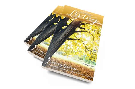 5 Most Popular Binding Options For Print Projects Colortech Inc