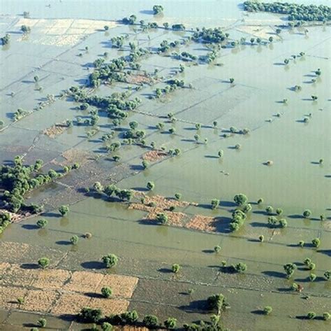 Flood Dataset Kaggle