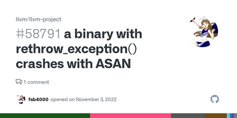 A Binary With Rethrowexception Crashes With Asan · Issue 58791 · Llvmllvm Project · Github