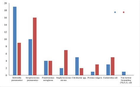 The Relation Between Bacterial Isolates And Gender Female Blue Male