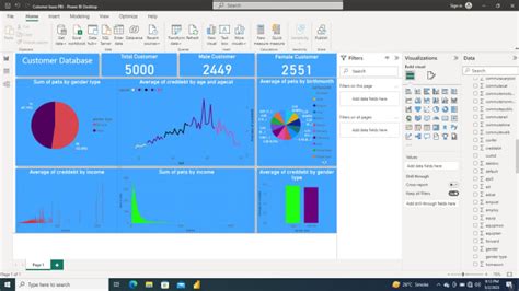 Make Power Bi Custom Dashboard And Data Visualization With Dax By