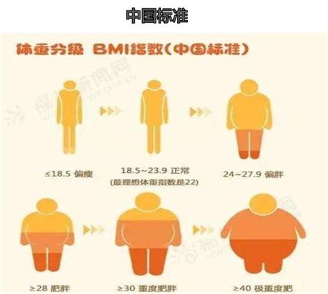 【2019cihfc】杨萍教授：肥胖与心力衰竭 心力衰竭和心肌病网