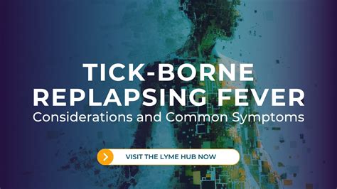 Understanding Tick Borne Relapsing Fever Gordon Medical Associates
