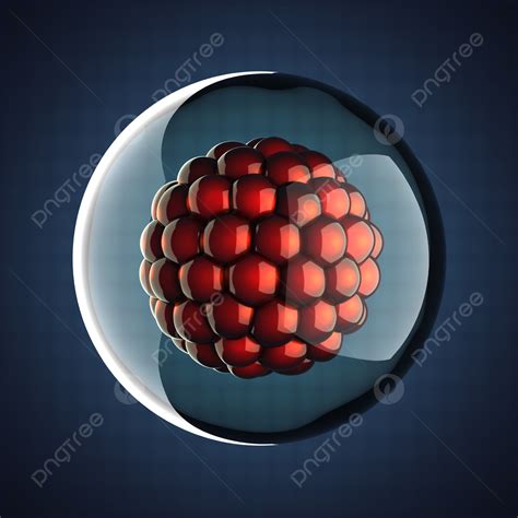 A Micro Cell Scientific Illustration Divide Pregnancy Structure Photo Background And Picture For