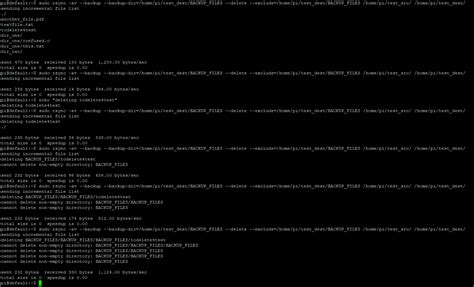rsync when deleting files from source move still existing target