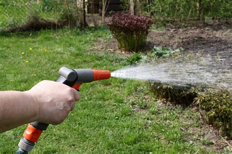 菜园 工业软管 软管 加油机 水 公园 水平画幅 湿 草坪 夏天