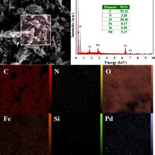 SEM Image EDX Spectrum And Elemental Mapping Images Of GO Fe 3 O 4 Download Scientific