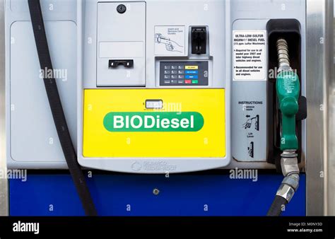Biodiesel Fuel Pump